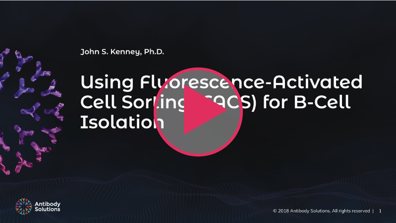 Webinar: “Using Fluorescence-Activated Cell Sorting (FACS) for B-Cell ...