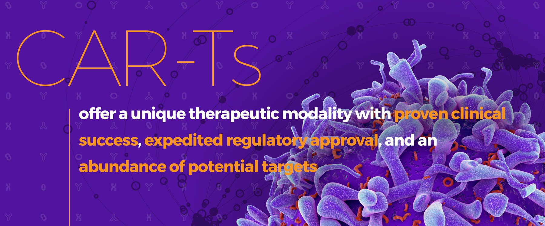 CAR-T Cell Therapy 101
