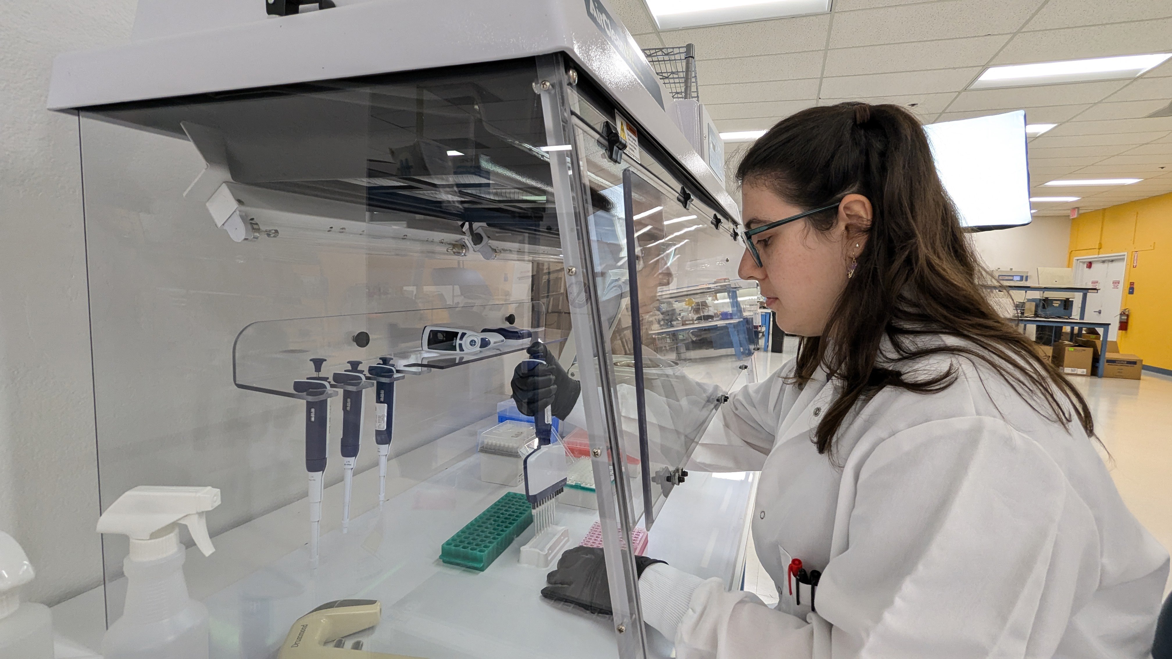 Cellestive - Sequencing & Expression