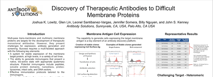 Discovery Platform for Therapeutic D-Proteins
