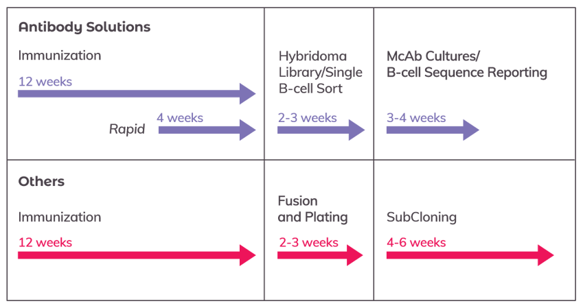 Monoclonal Antibody Discovery - Antibody Solutions