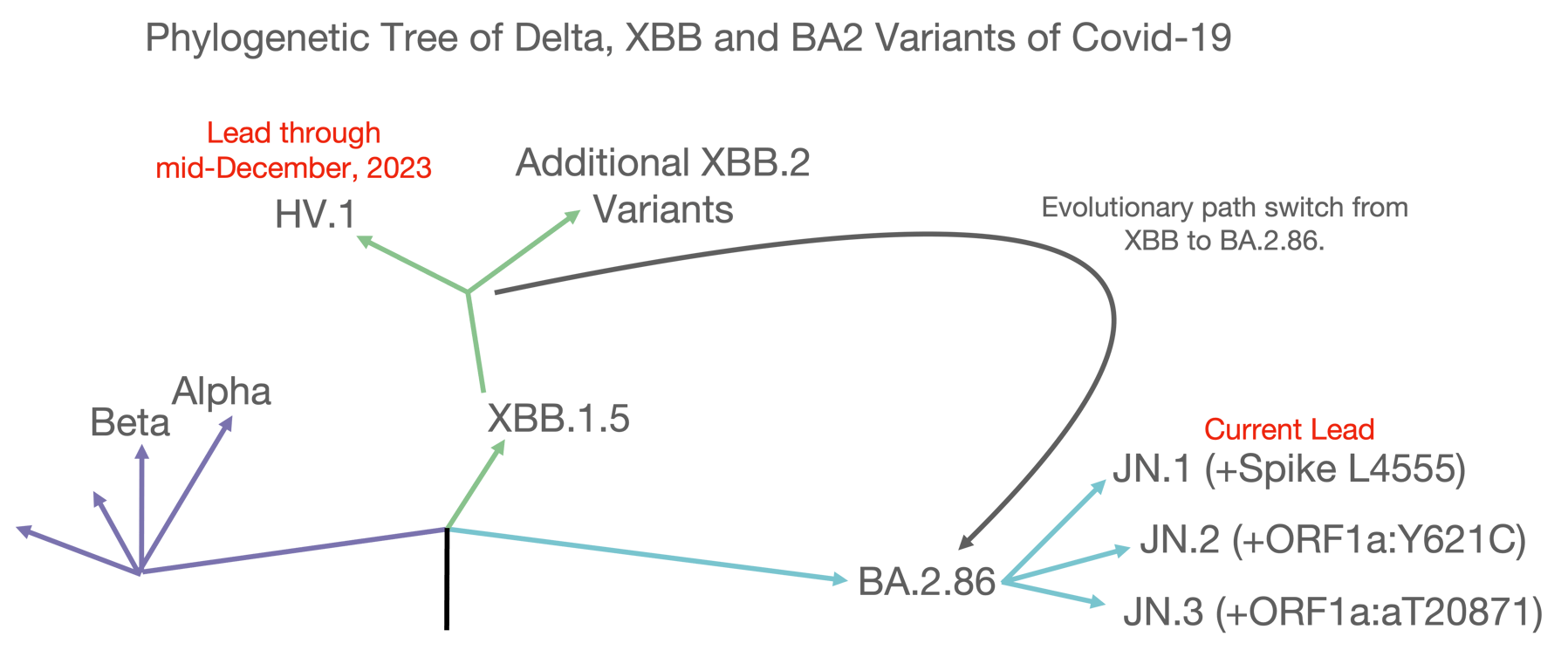 With Its Latest Prominent Variant, SARS-CoV-2 is Up to Its Old Tricks
