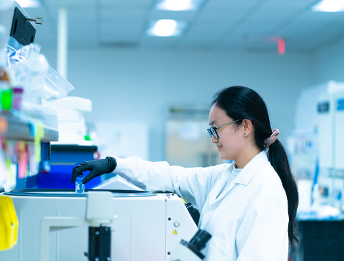 Critical Reagent Assay Development - Antibody Solutions