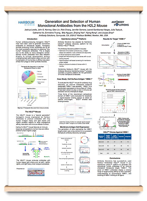 Generation and Selection of Human Monoclonal Antibodies from the H2L2 Mouse