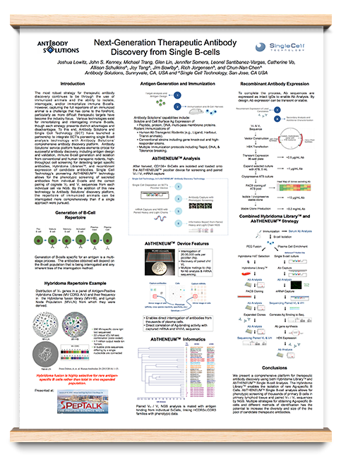 Next Generation Therapeutic Antibody Discovery From Single B Cells